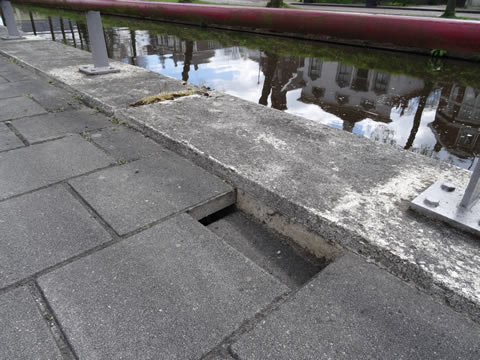 Inklinking - Fotobank Natuurlijke Alliantie