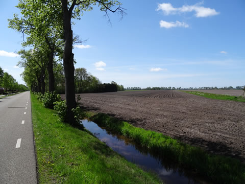 Hoogveen - Fotobank Natuurlijke Alliantie